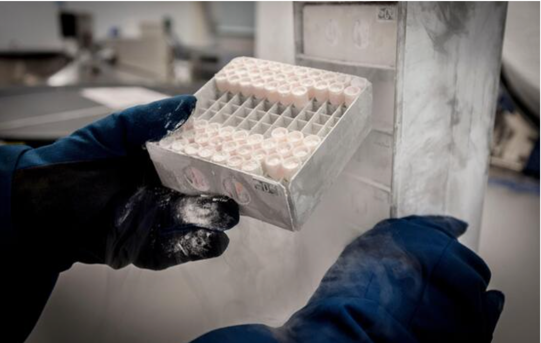 Waterproof GRIP Cryo Gloves – GERF® Certified Cryogenic Gloves